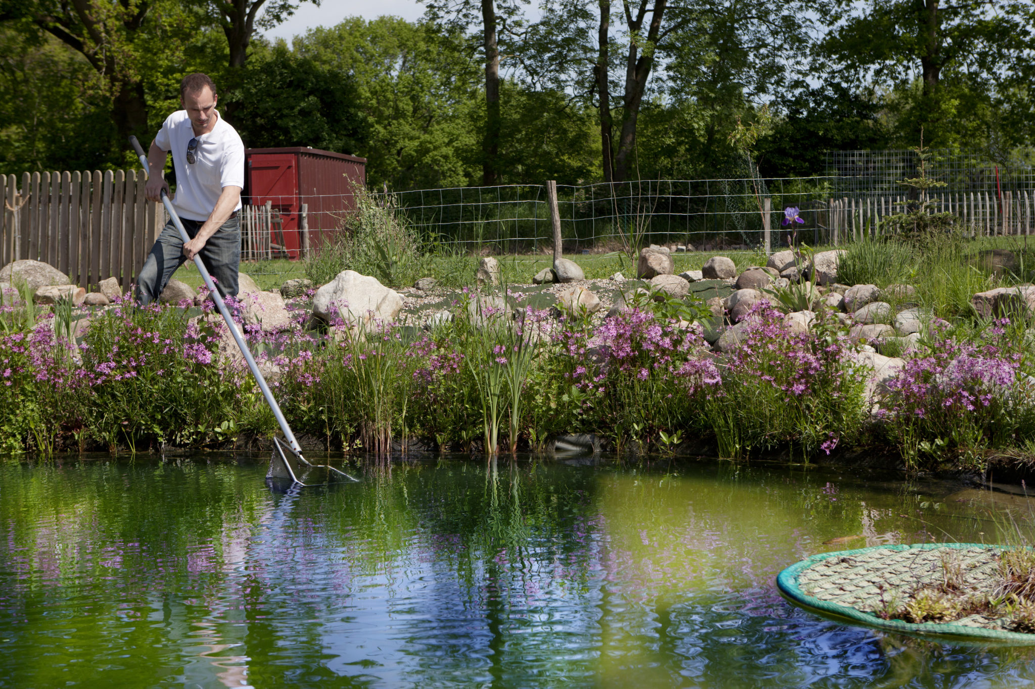 Teichpflege – So halten Sie Ihren Gartenteich rund ums Jahr instand