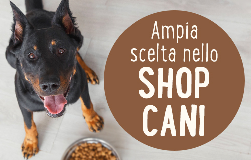 La rabbia nel cane | zooplus Magazine per cani