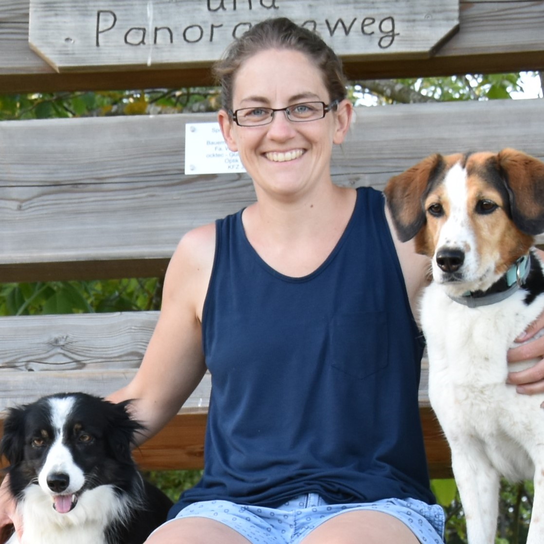 Katzenbaby & Kitten Ernährung: Ab wann und welches Futter?