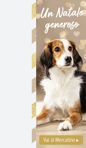 La rabbia nel cane | zooplus Magazine per cani