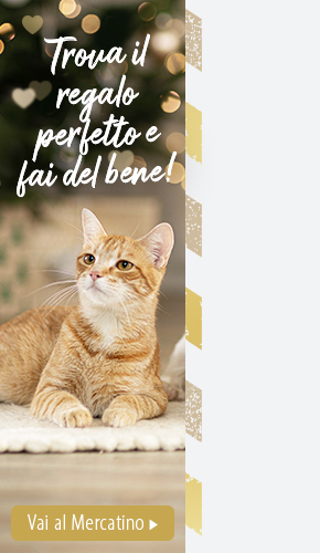 La rabbia nel cane | zooplus Magazine per cani