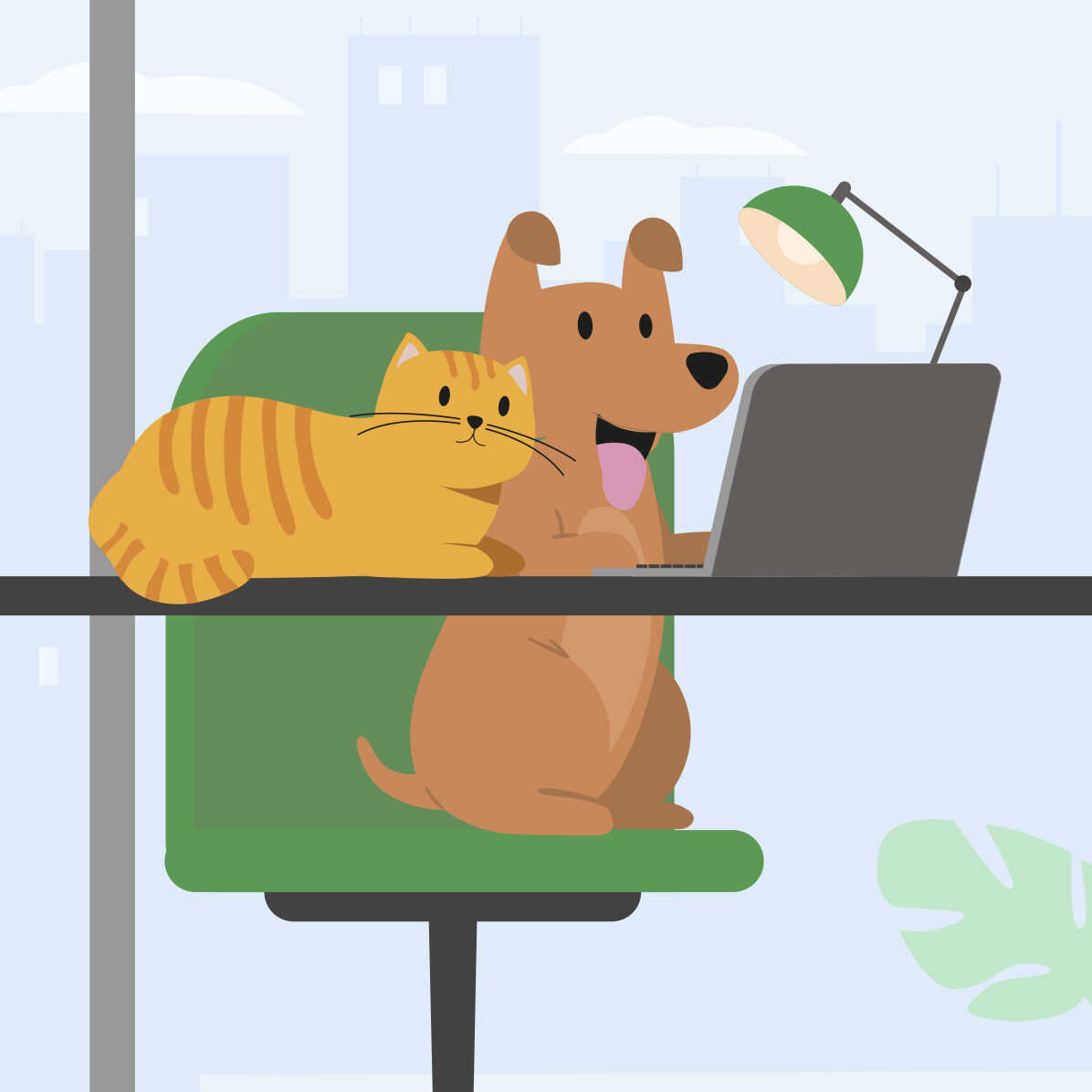 Riesenkaninchen: Beliebte Rassen, Charakter, Zucht | zooplus